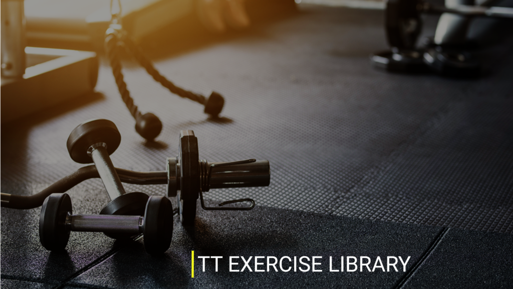 Exercise Library: Your Ultimate Fitness Resource | The True Transformation