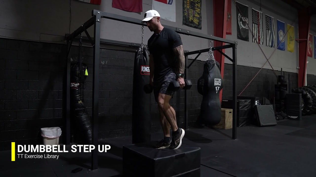 Dumbbell Step Up - The True Transformation
